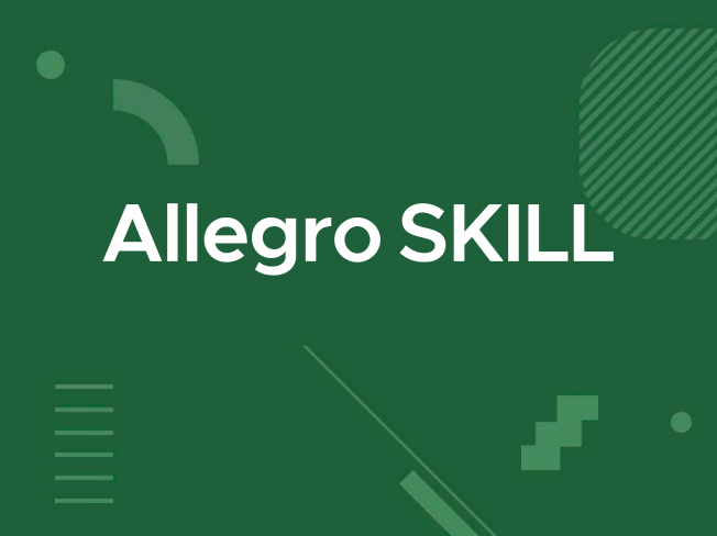 Allegro 자동화 기능 구현Skill - 크몽
