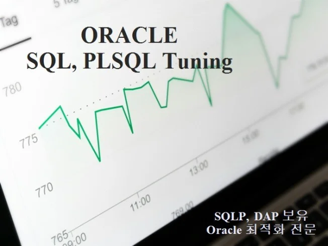 SQLP/DAP 보유 ORACLE SQL 튜닝전문가 - 크몽
