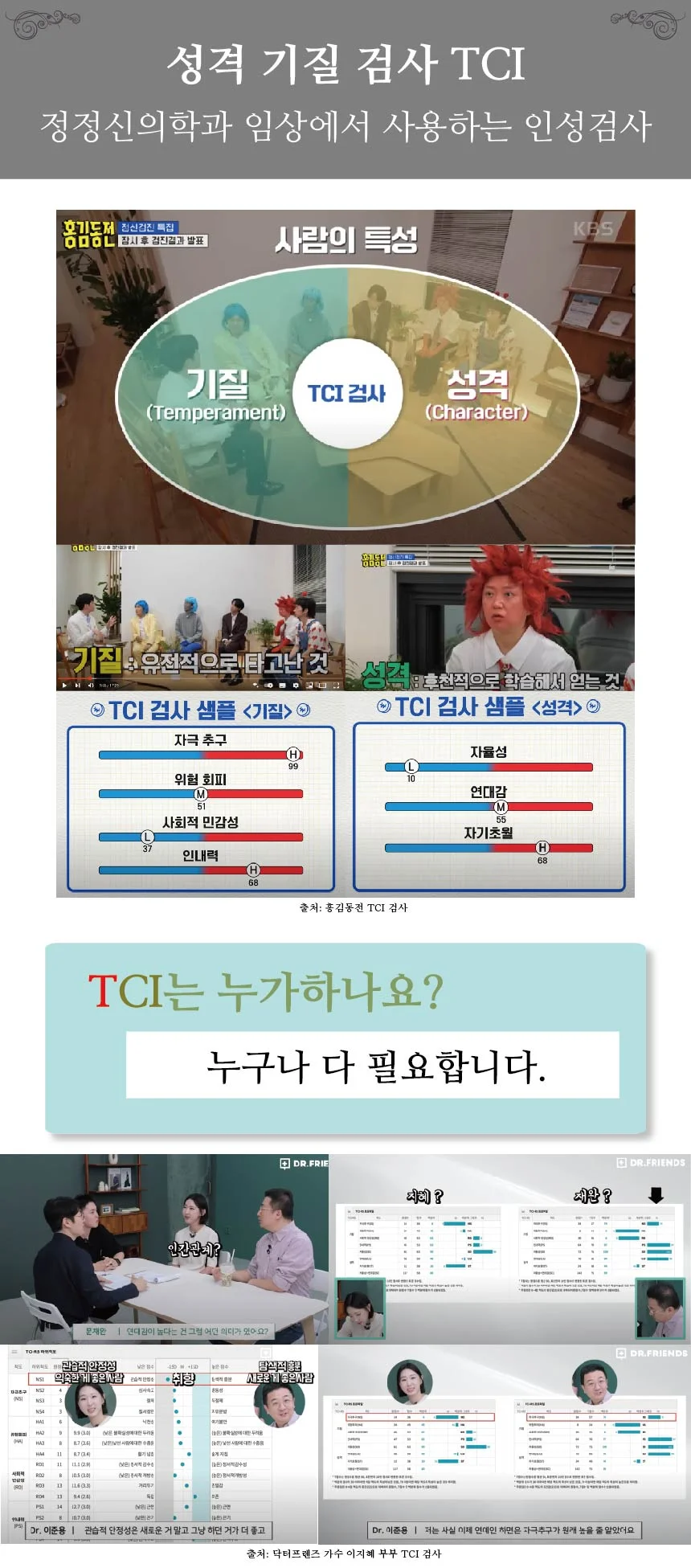TCI 검사 및 고급형 결과지 2P+해석보고서 6P - 크몽