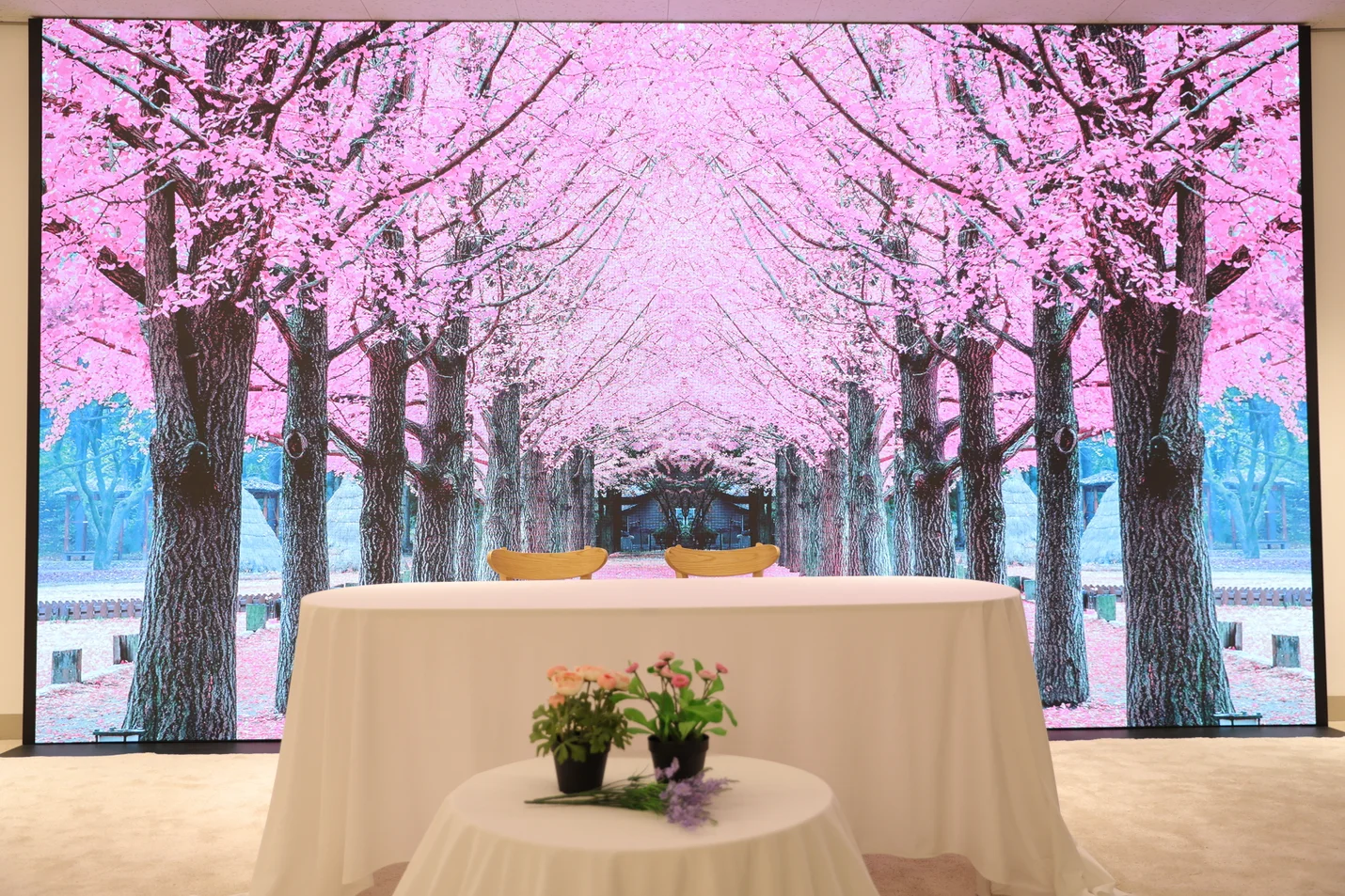 안양 대형LED스튜디오 빌려드립니다 - 크몽