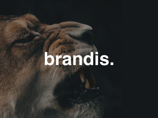 사업의 시작 LOGO로 열어드립니다. - 크몽