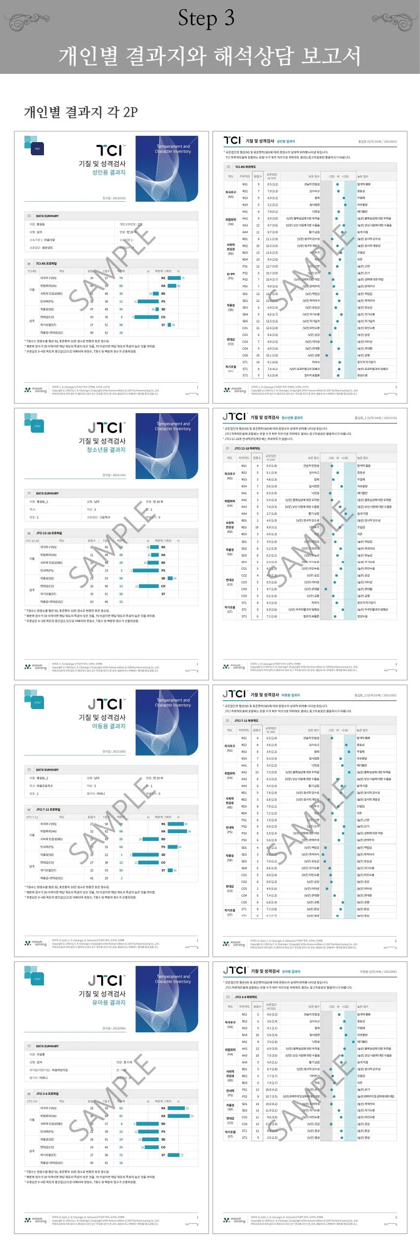 TCI 검사 및 고급형 결과지 2P+해석보고서 6P - 크몽