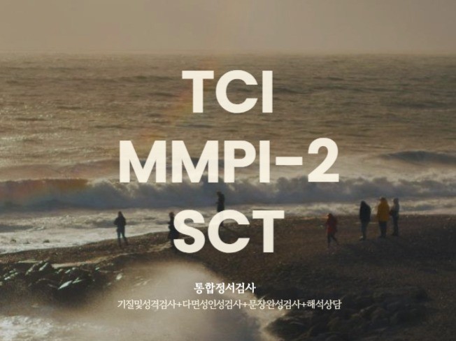 종합정서검사, TCI+MMPI+SCT+해석상담 - 크몽