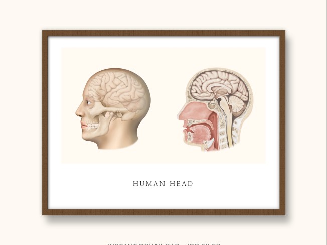 HUMAN HEAD POSTER - 크몽