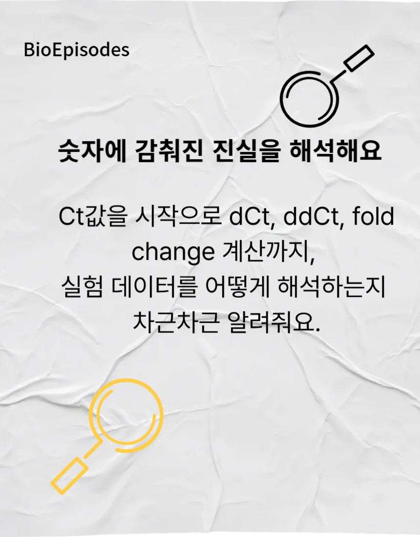 바이오에피소드-ddCt 계산하기 - 크몽