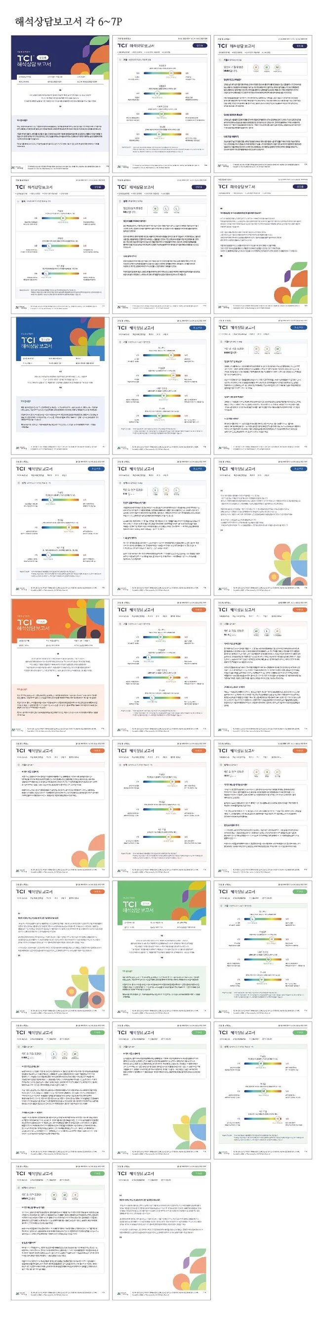 TCI 검사 및 고급형 결과지 2P+해석보고서 6P - 크몽