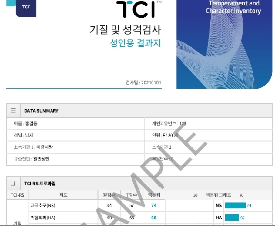 MMPI-2/SCT/TCI 검사 + 해석상담 - 크몽