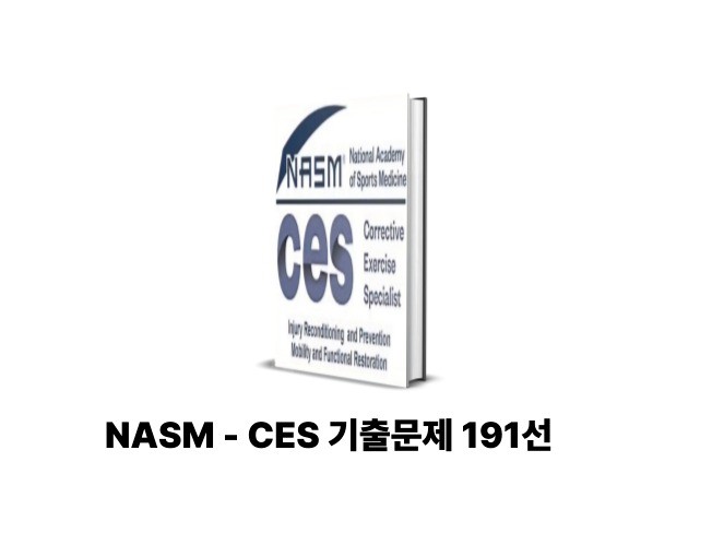 NASM - CES 기출문제 191선 - 크몽