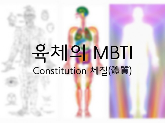 육체의 BMTI 체질 대면상담 - 크몽
