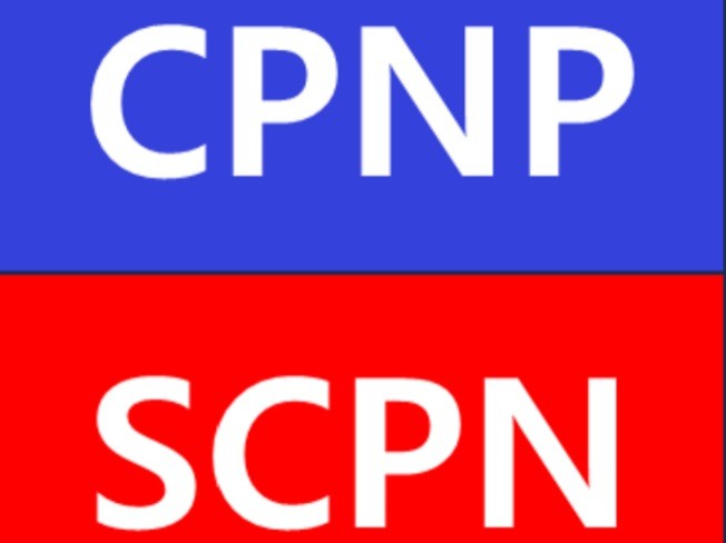 CPNP/ SCPN인증 유럼 영국 인증 - 크몽